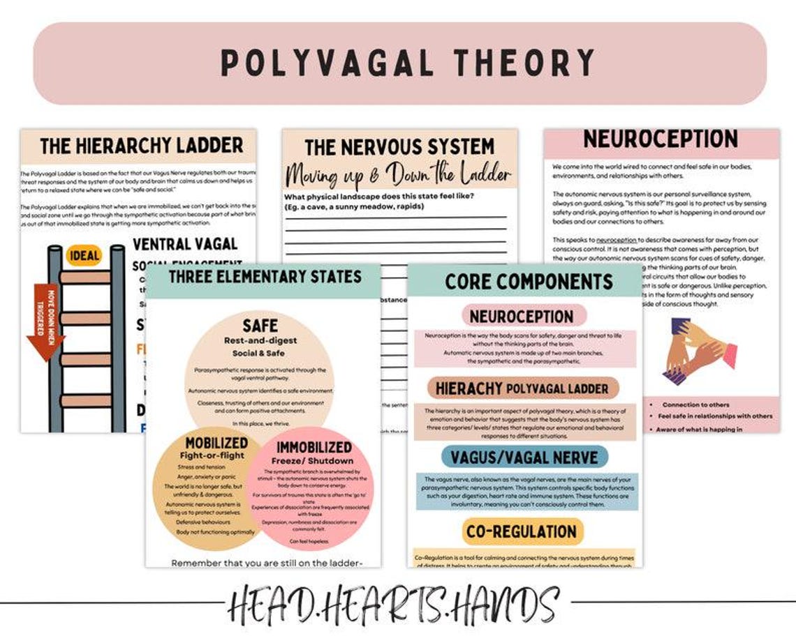 Polyvagal Theory Worksheets, Nervous System Regulation, Somatic ...
