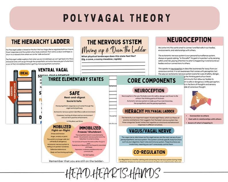 Polyvagal Theory Worksheets, Polyvagal Theory Cheat Sheet, Nervous ...