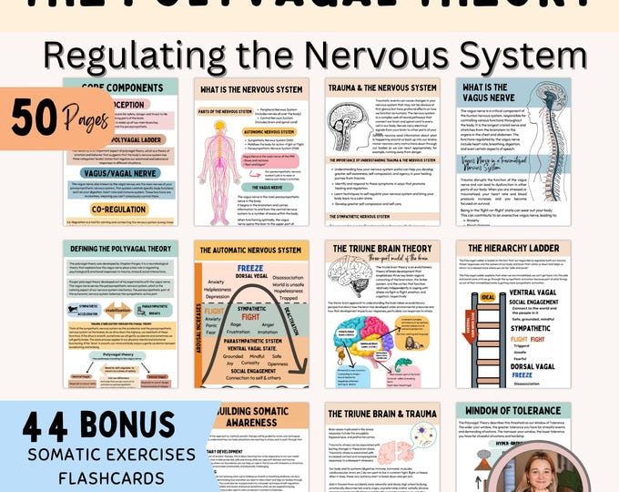 Trauma Therapy Workbook for Adults, Fight Flight Freeze Response ...