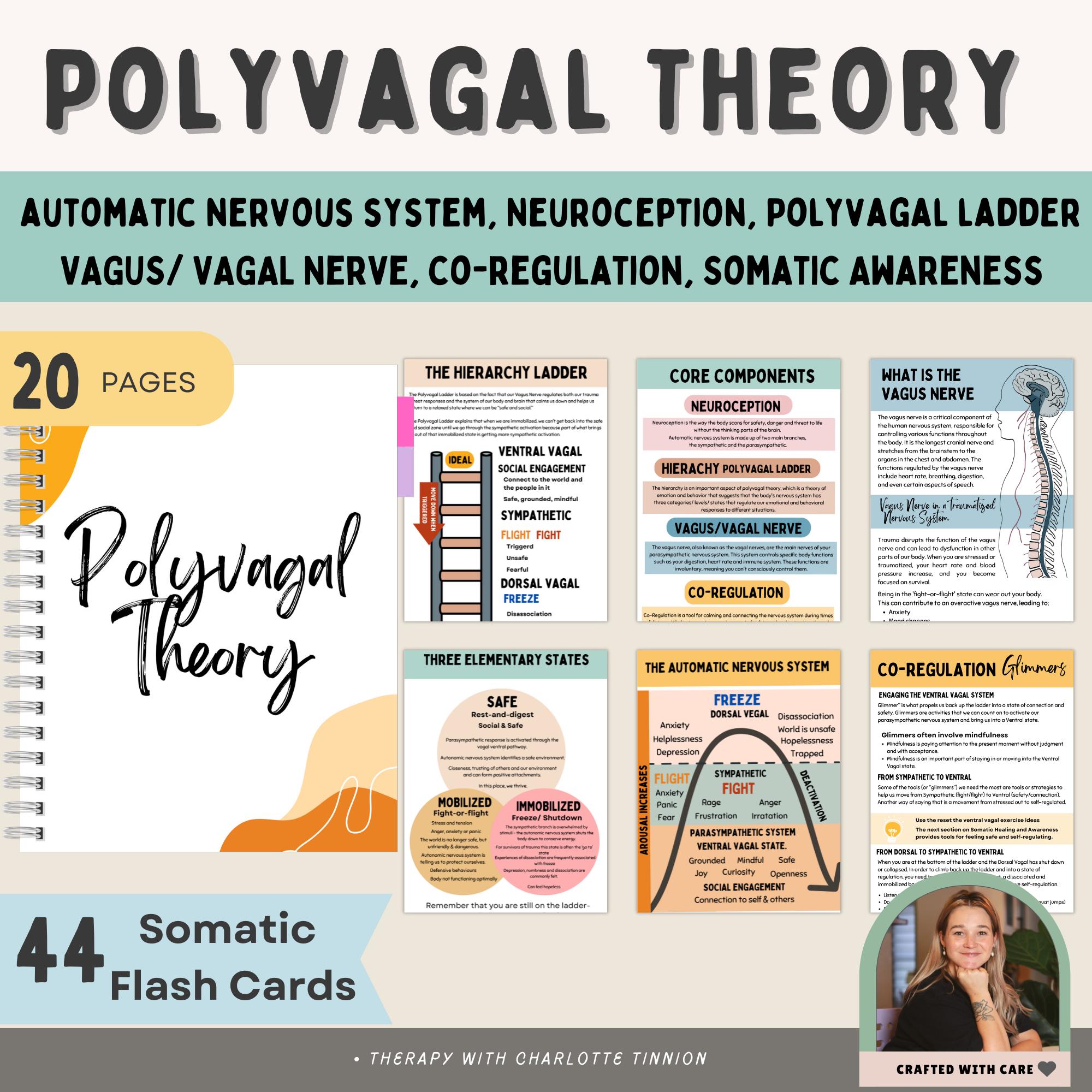 Polyvagal Theory Cheat Sheet, Nervous System Regulation Workbook ...