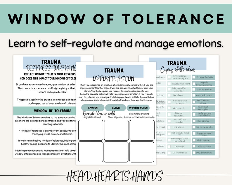 The Window of Tolerance, Arousal States, Emotional Regulation, Trauma ...