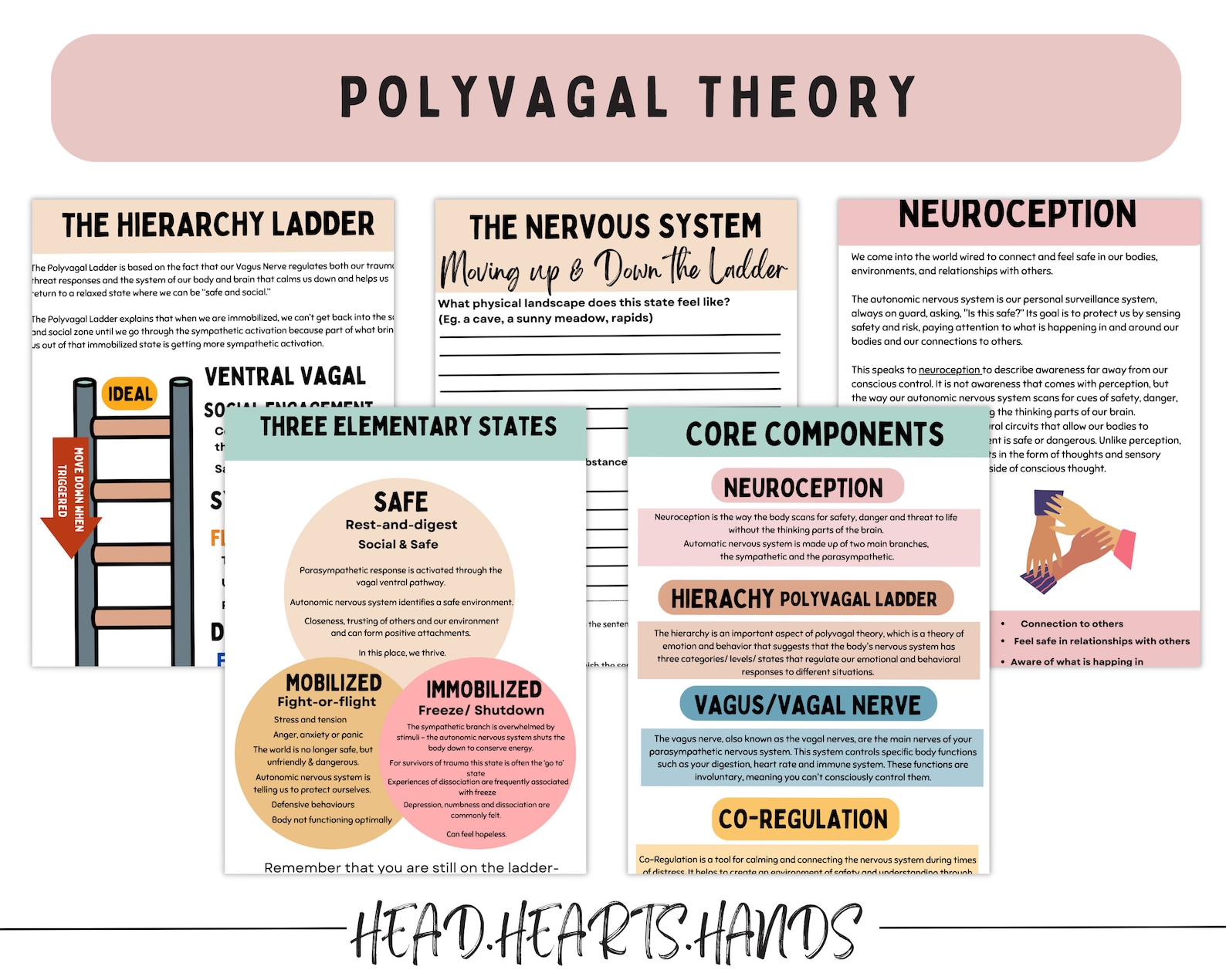 The Polyvagal Theory, Vagus Nerve Stimulation, Trauma Therapy ...