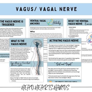 Polyvagal Theory Cheat Sheet, Nervous System Regulation Workbook, Emotional Regulation, Somatic ...