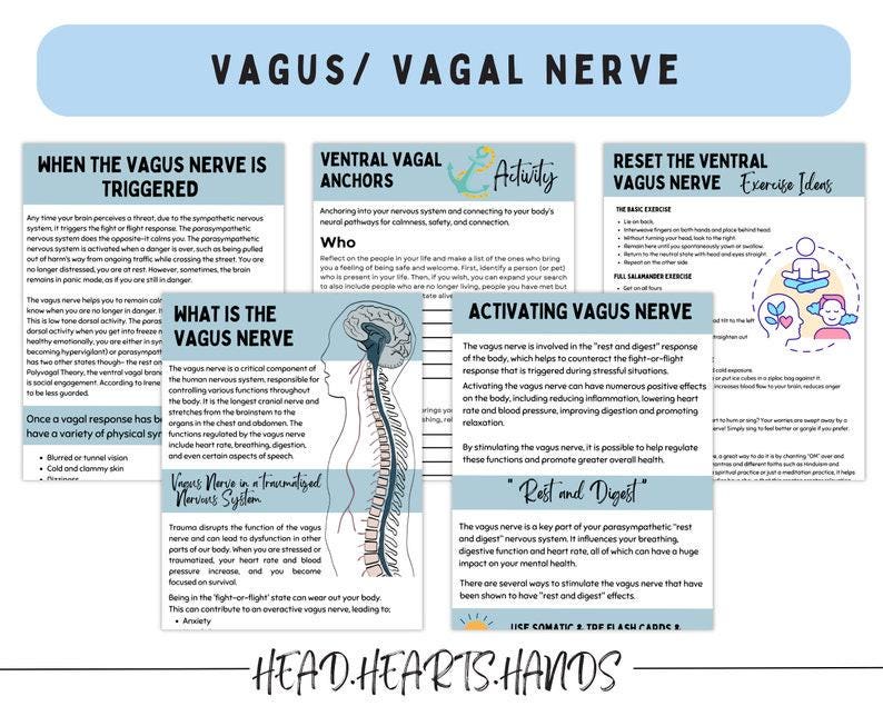 Polyvagal Theory Cheat Sheet, Nervous System Regulation Workbook ...