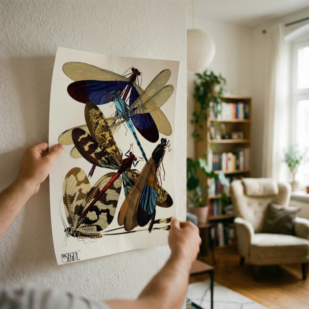 Vintage Entomology Wall Art, Maximalist Insect Decor, Retro A Seguy ...