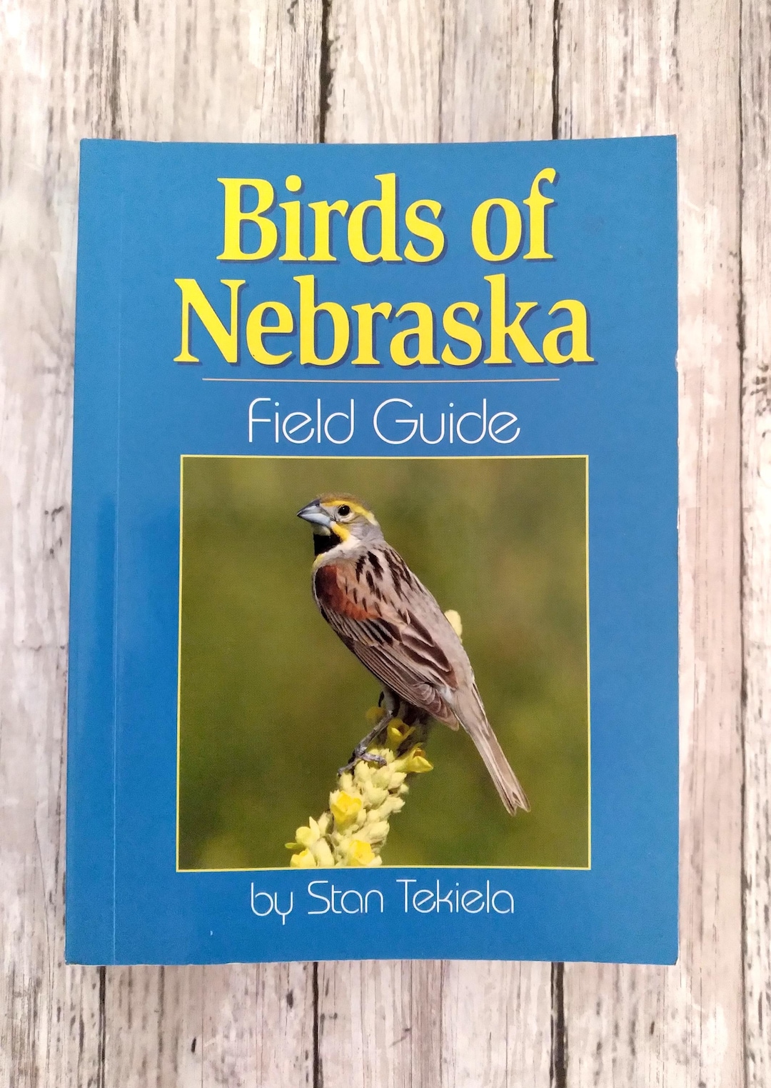 Birds of Nebraska Field Guide, Stan Tekiela, 2003 - Etsy