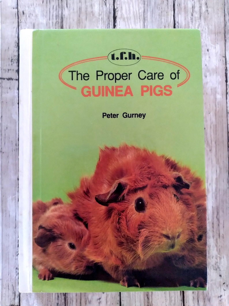1992 the Proper Care of Guinea Pigs, Peter Gurney - Etsy
