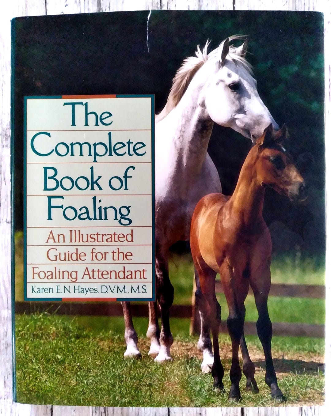 1993 the Complete Book of Foaling: an Illustrated Guide for the Foaling ...