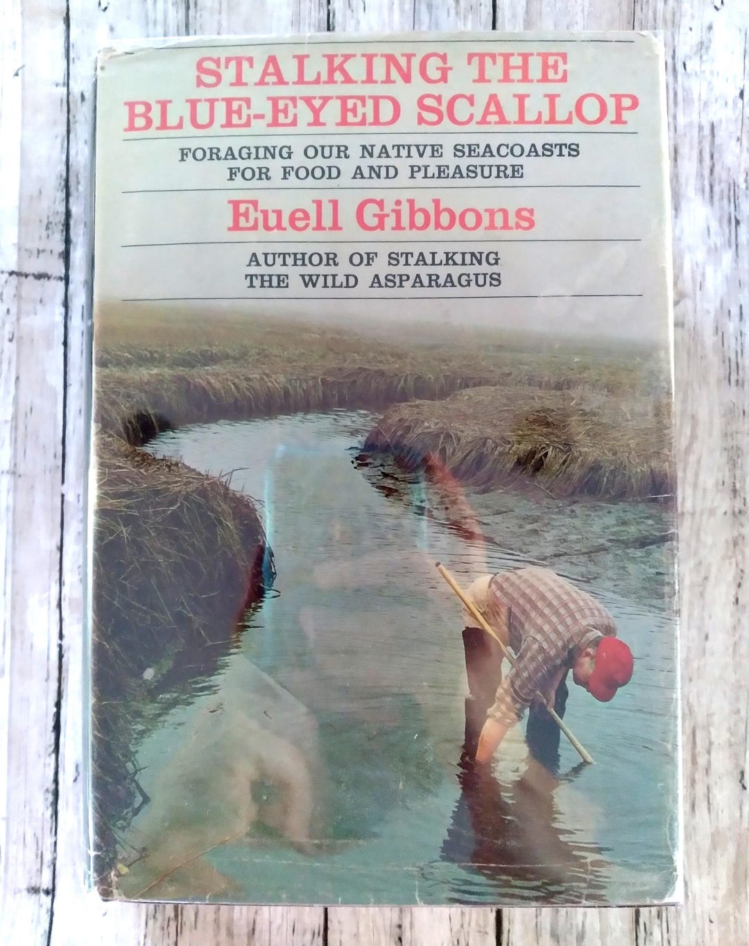 1965 Stalking the Blue-eyed Scallop: Foraging Our Native Seacoasts for ...