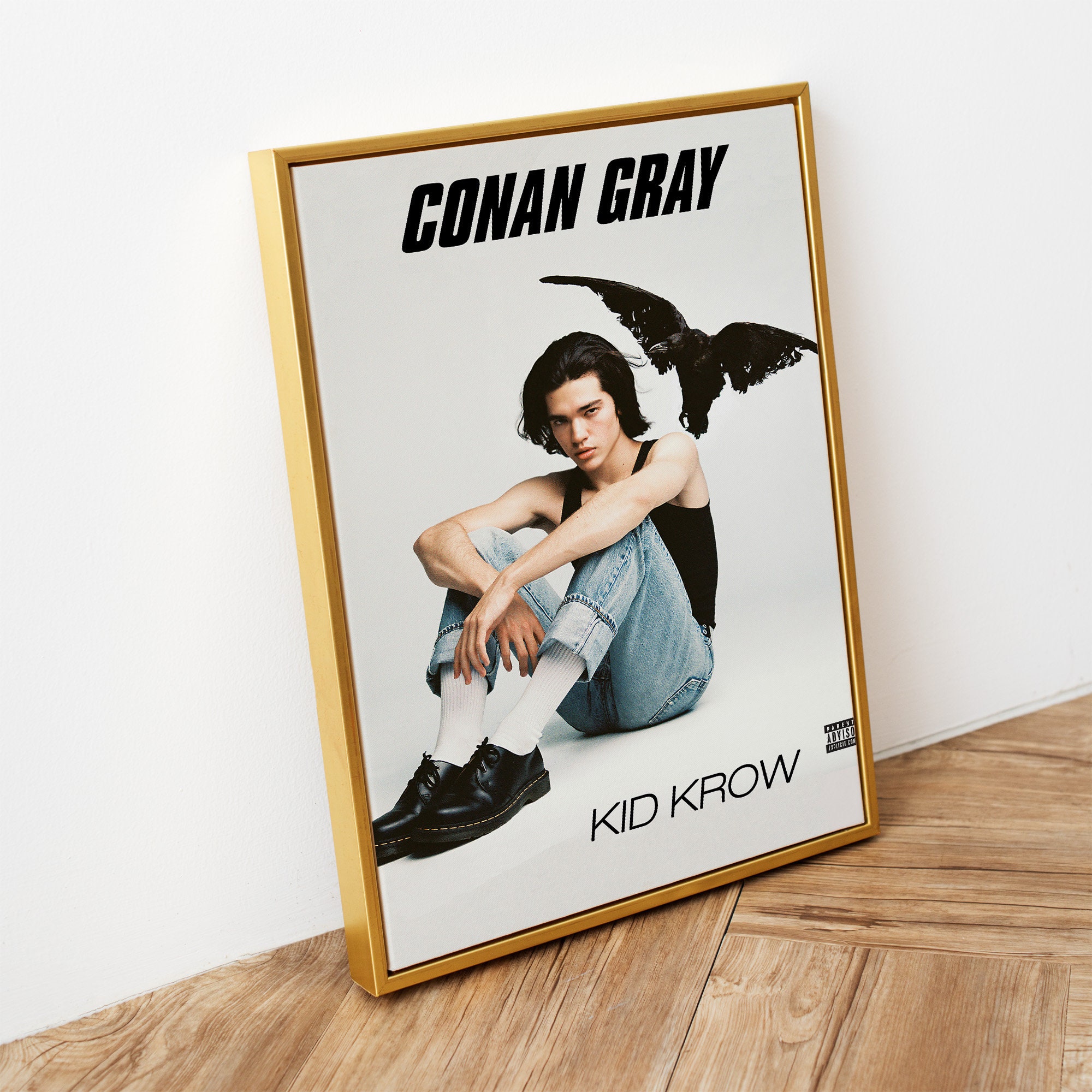 Conan Gray kid Krow Album Poster Color Optional | Etsy UK