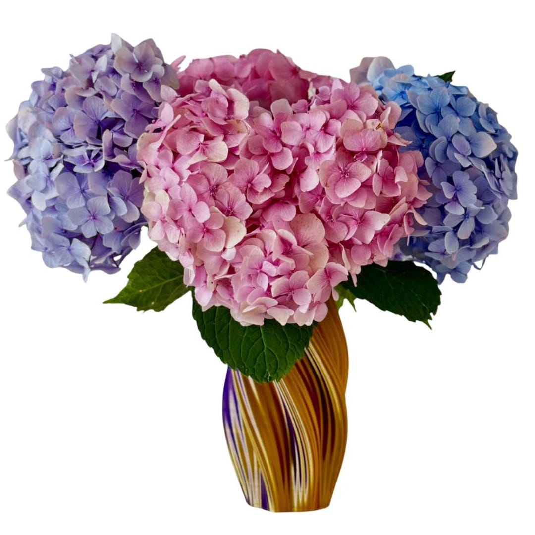 3D Printed Vase "hot Ice Cream" : Multi-color Eco-friendly Decor - Etsy