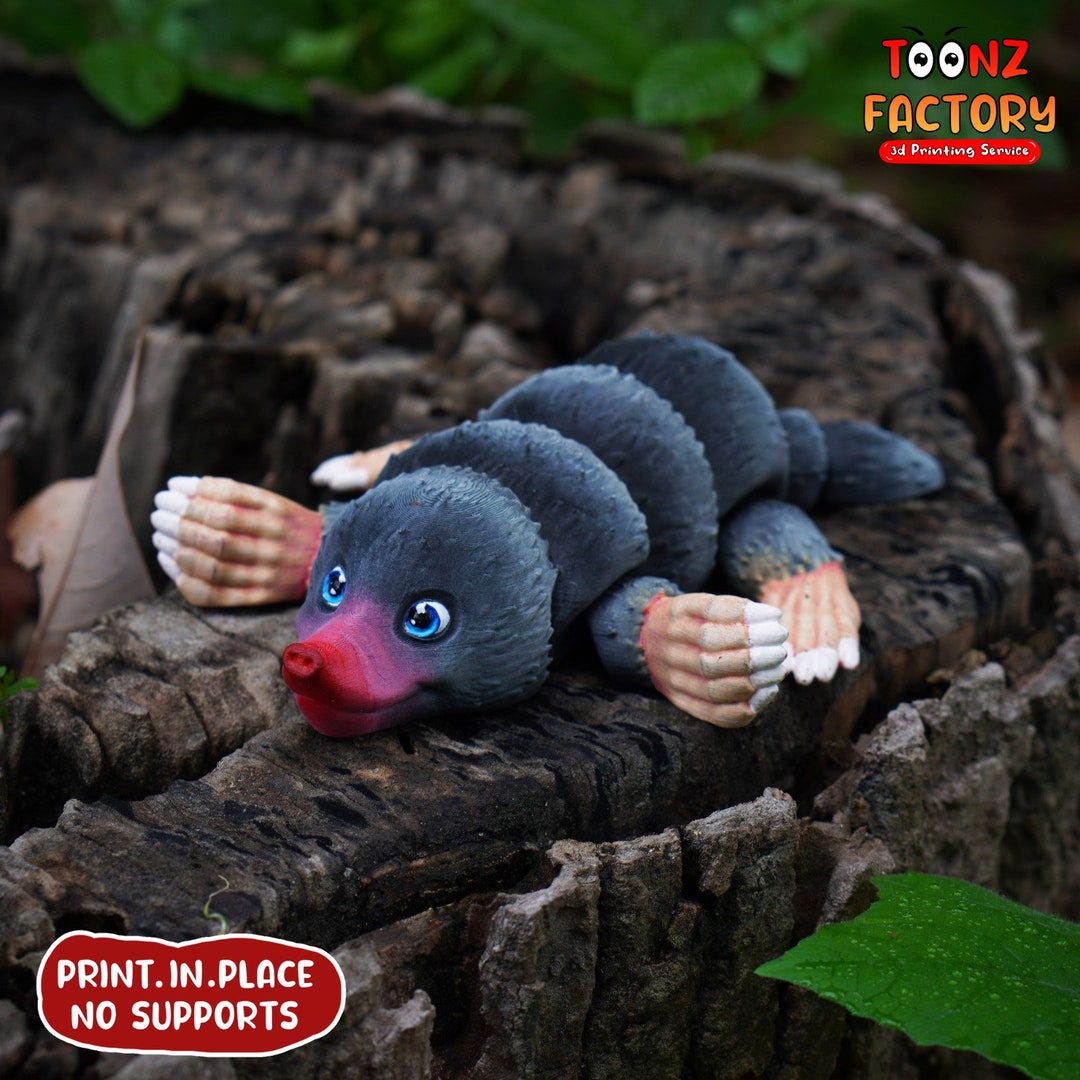 Cute Flexi Mole Articulated / 3D Print Instant Download/3d Printed Toy ...