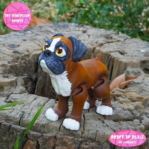 Flexi Boxer Dog Print in Place Toy /3D Print Instant Download/3d ...