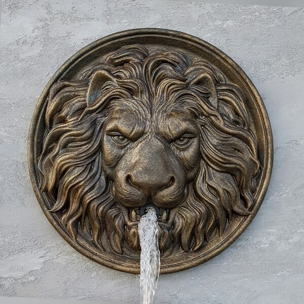 Lion Head Pool Spout Fountain - Etsy UK