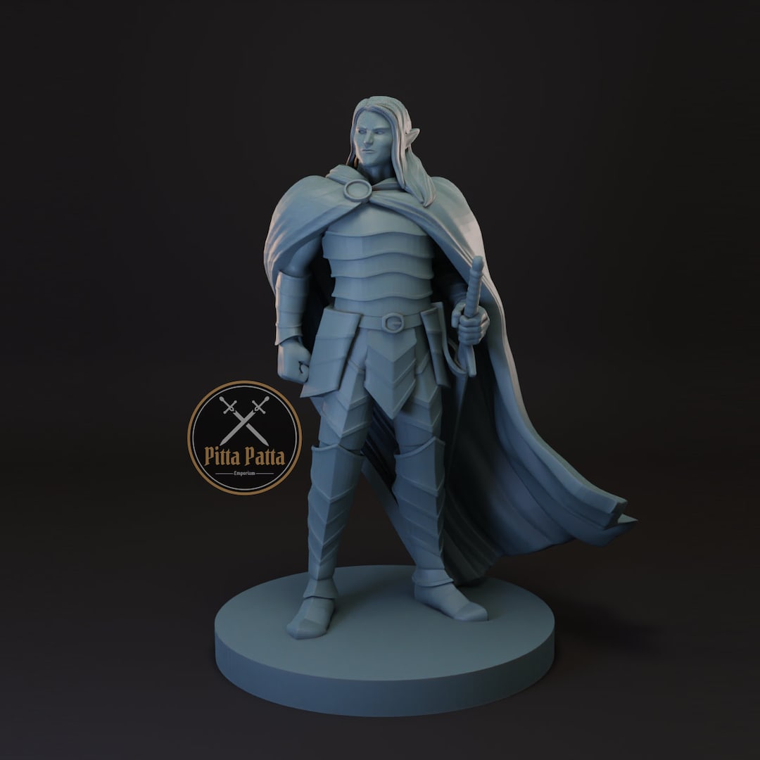 Male Elf | Drow | Half-elf Paladin | Fighter | Eldritch Knight Tabletop ...