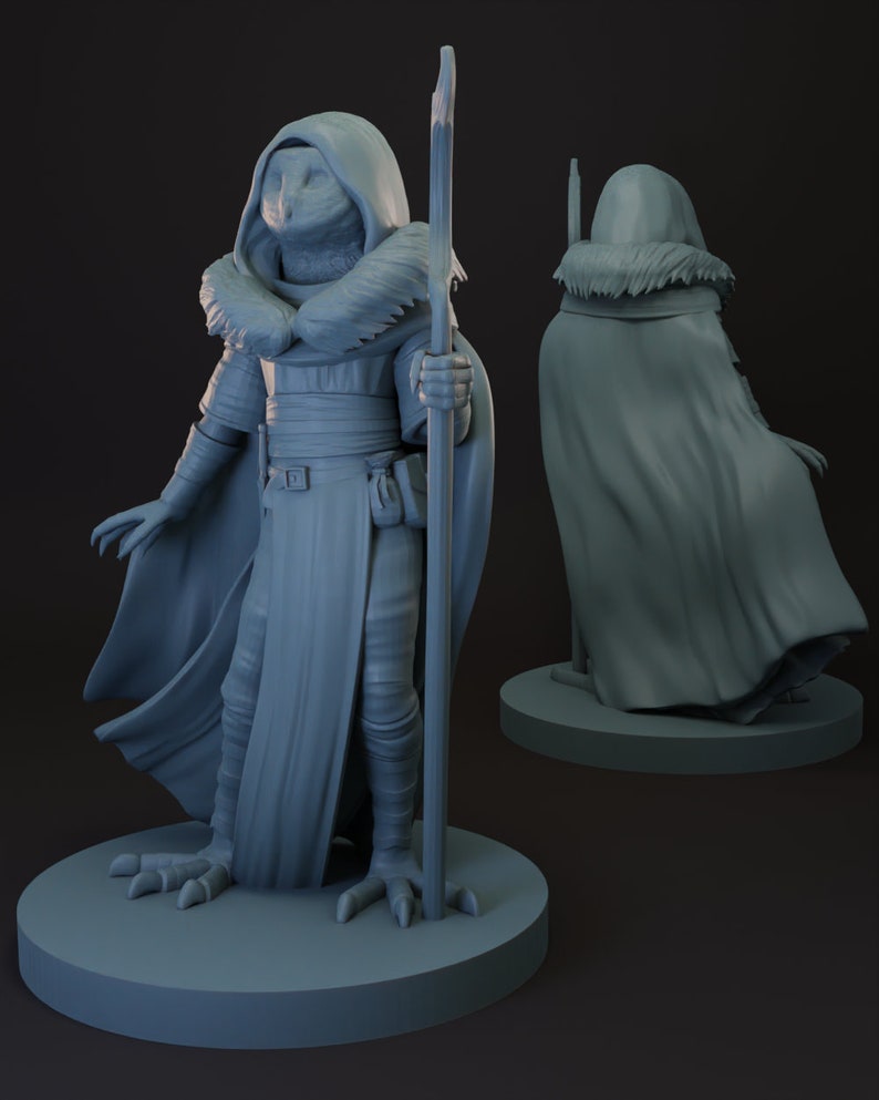 Owlin | Owlrakokra | Owlfolk | Aarakokra Druid I Wizard I Sorcerer ...