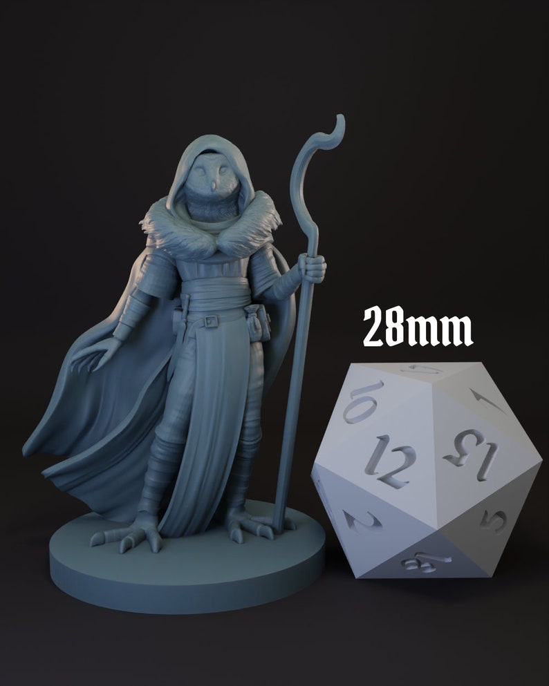 Owlin | Owlrakokra | Owlfolk | Aarakokra Druid I Wizard I Sorcerer ...
