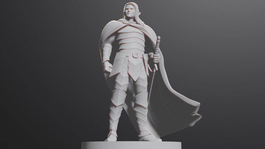 Male Elf Drow Half-elf Paladin Fighter Eldritch Knight Tabletop ...