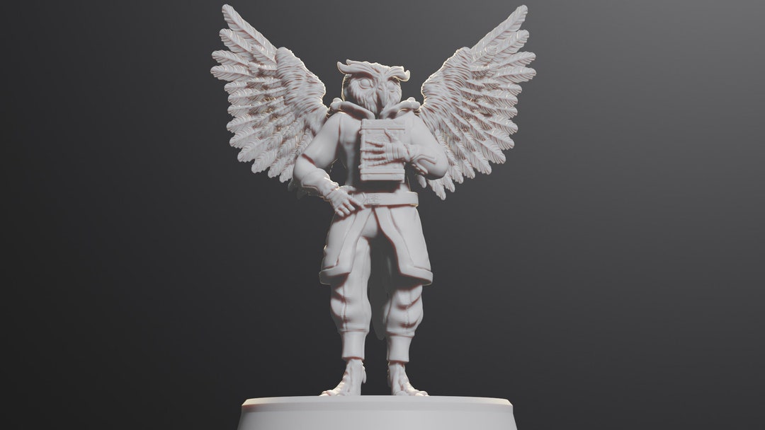 Owlin | Owlrakokra | Owlfolk | Aarakokra | Wizard | Warlock | Sorcerer ...