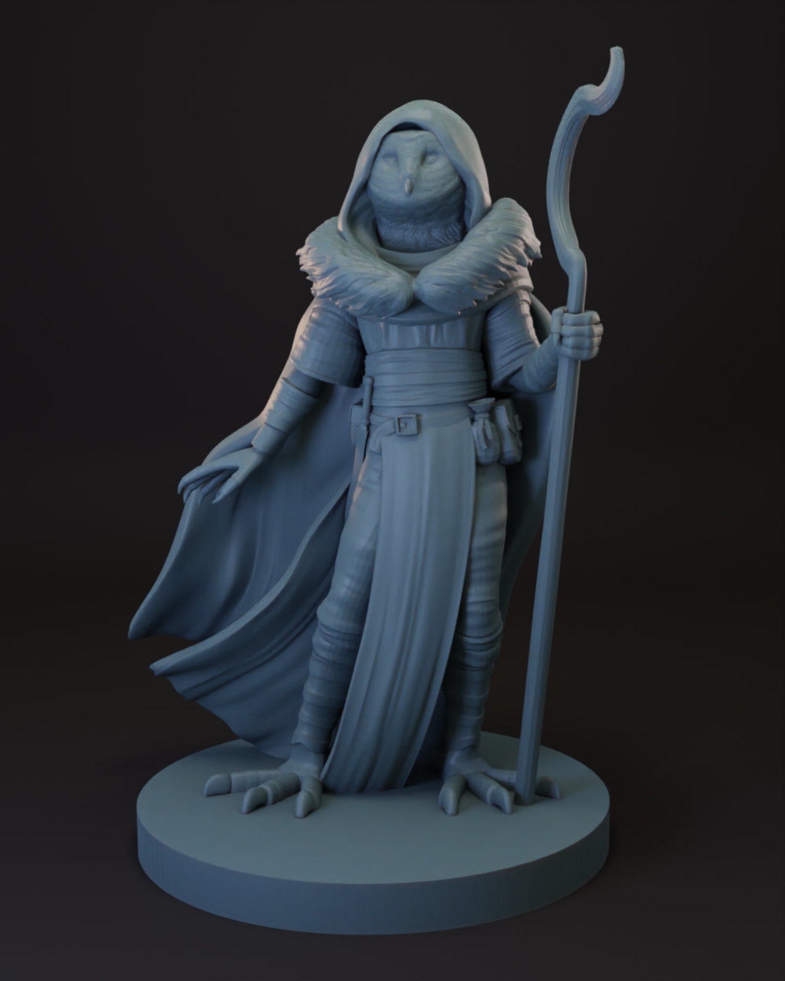 Owlin | Owlrakokra | Owlfolk | Aarakokra Druid I Wizard I Sorcerer ...