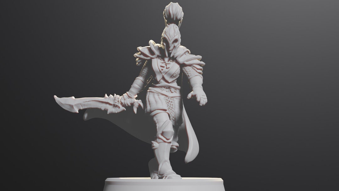 Female Elf Human Half-elf Eldritch Knight Paladin Fighter Tabletop ...