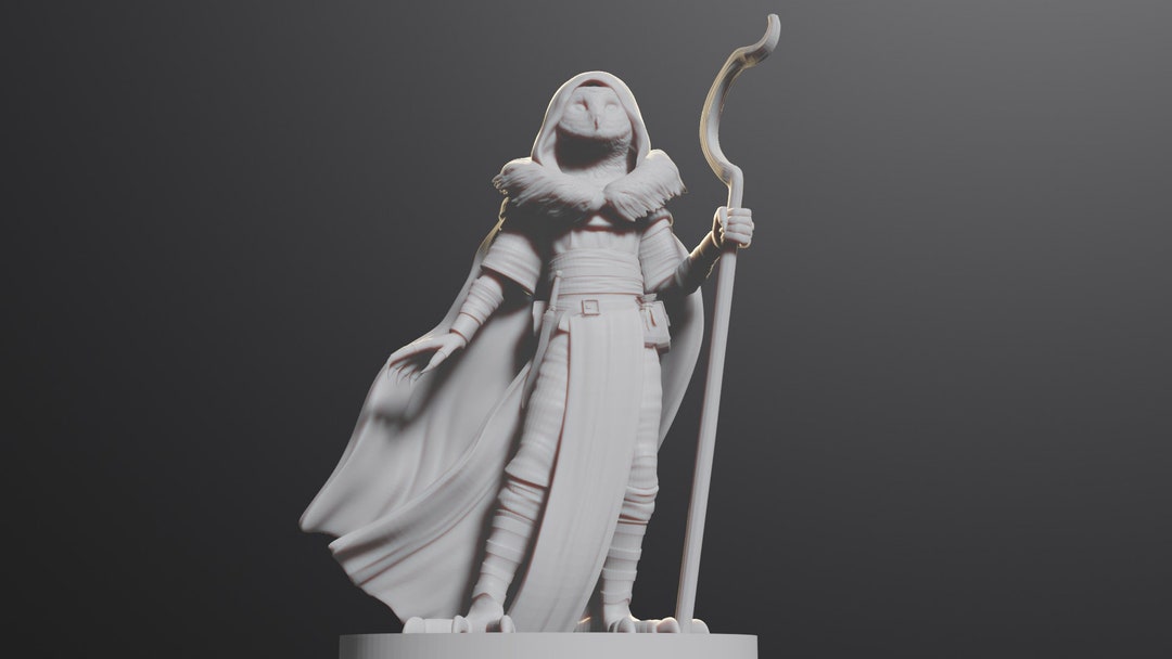 Owlin Owlrakokra Owlfolk Aarakokra Druid I Wizard I Sorcerer Tabletop ...