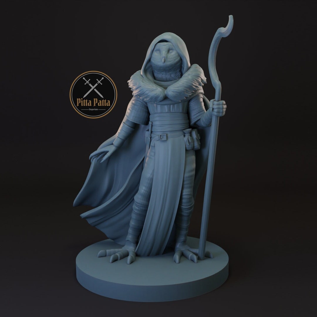 Owlin | Owlrakokra | Owlfolk | Aarakokra Druid I Wizard I Sorcerer ...
