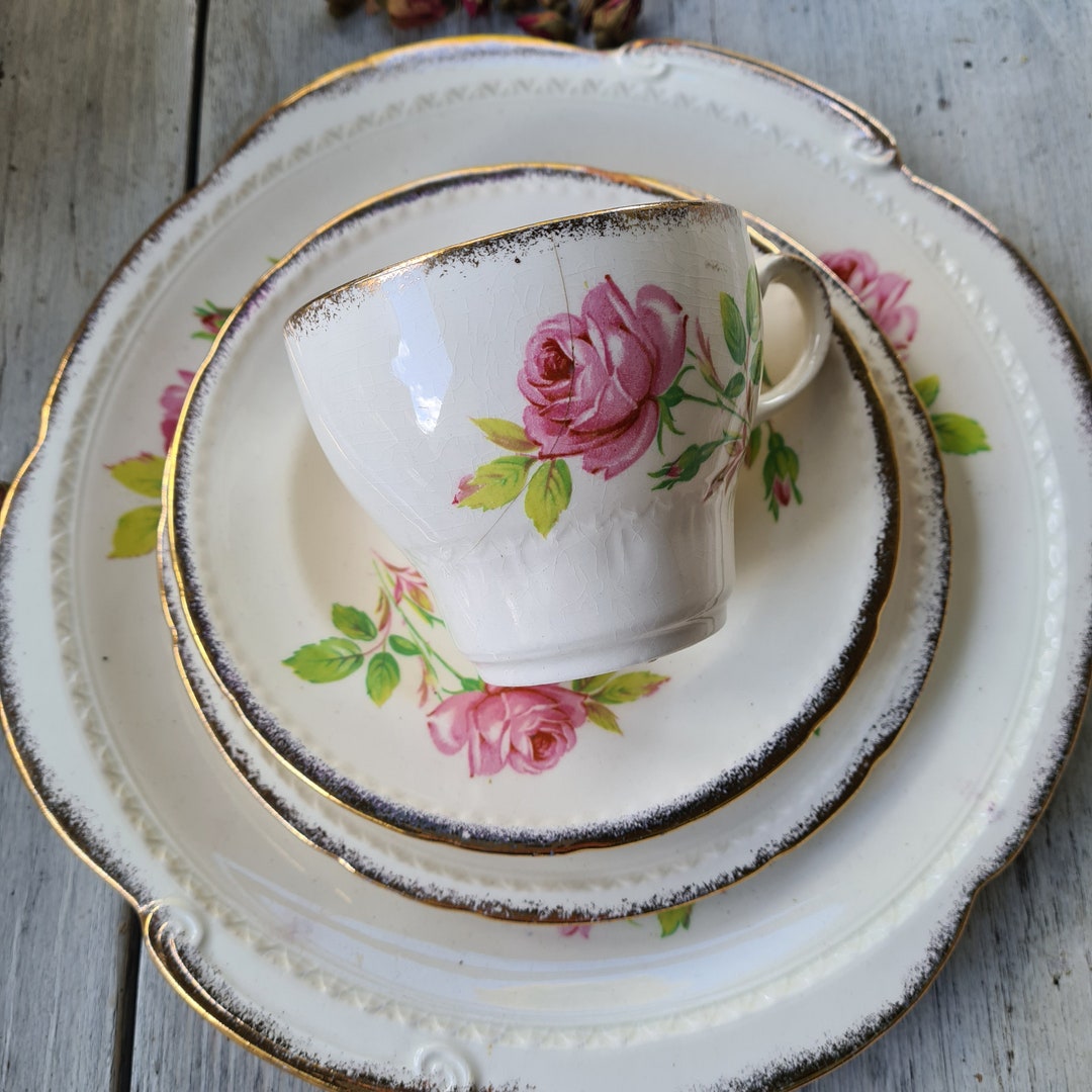 Swinnertons Majestic Vellum Teacup, Saucer and Plates Set - Etsy