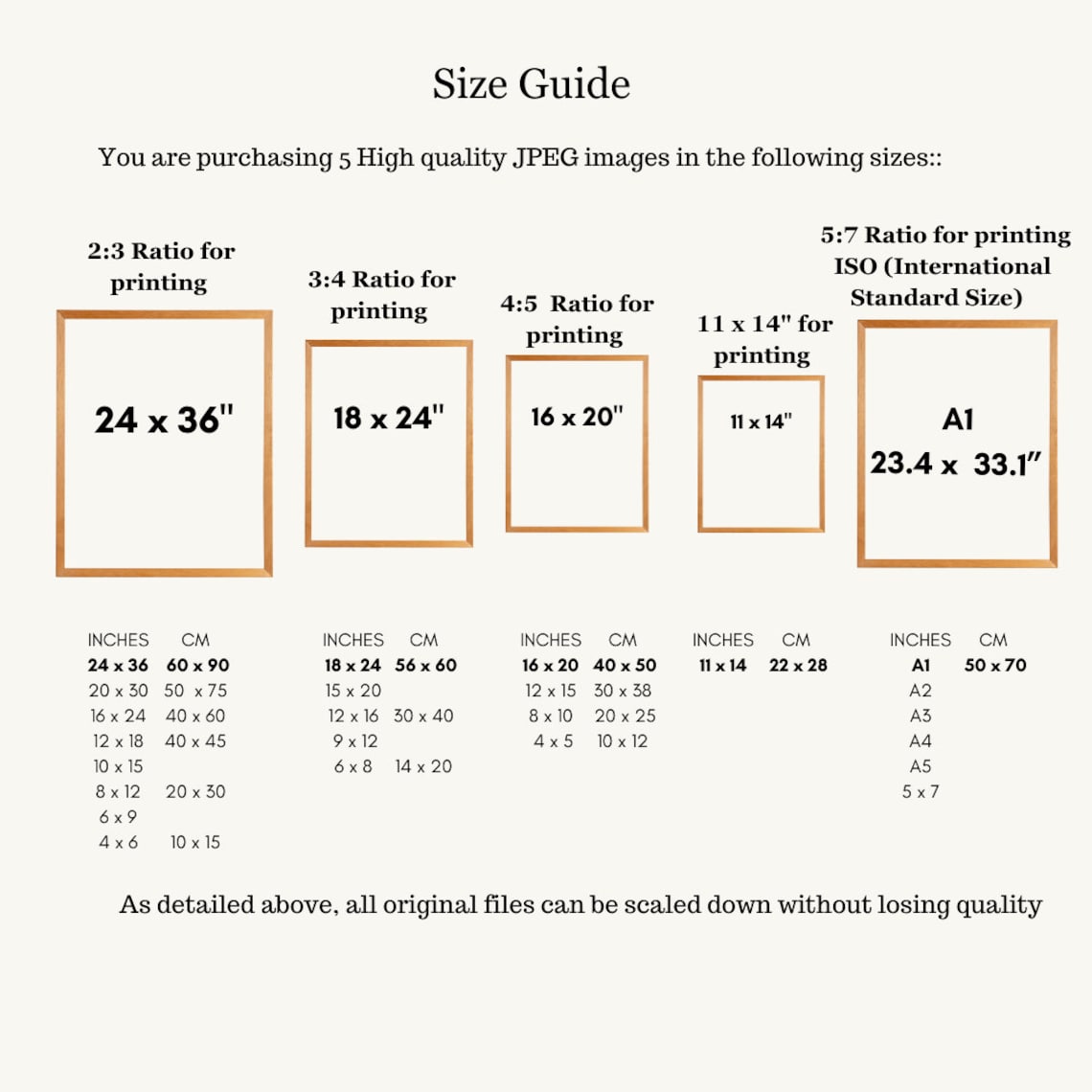 4 F's of Trauma Response Poster/ Handout. School Counselor, CBT ...