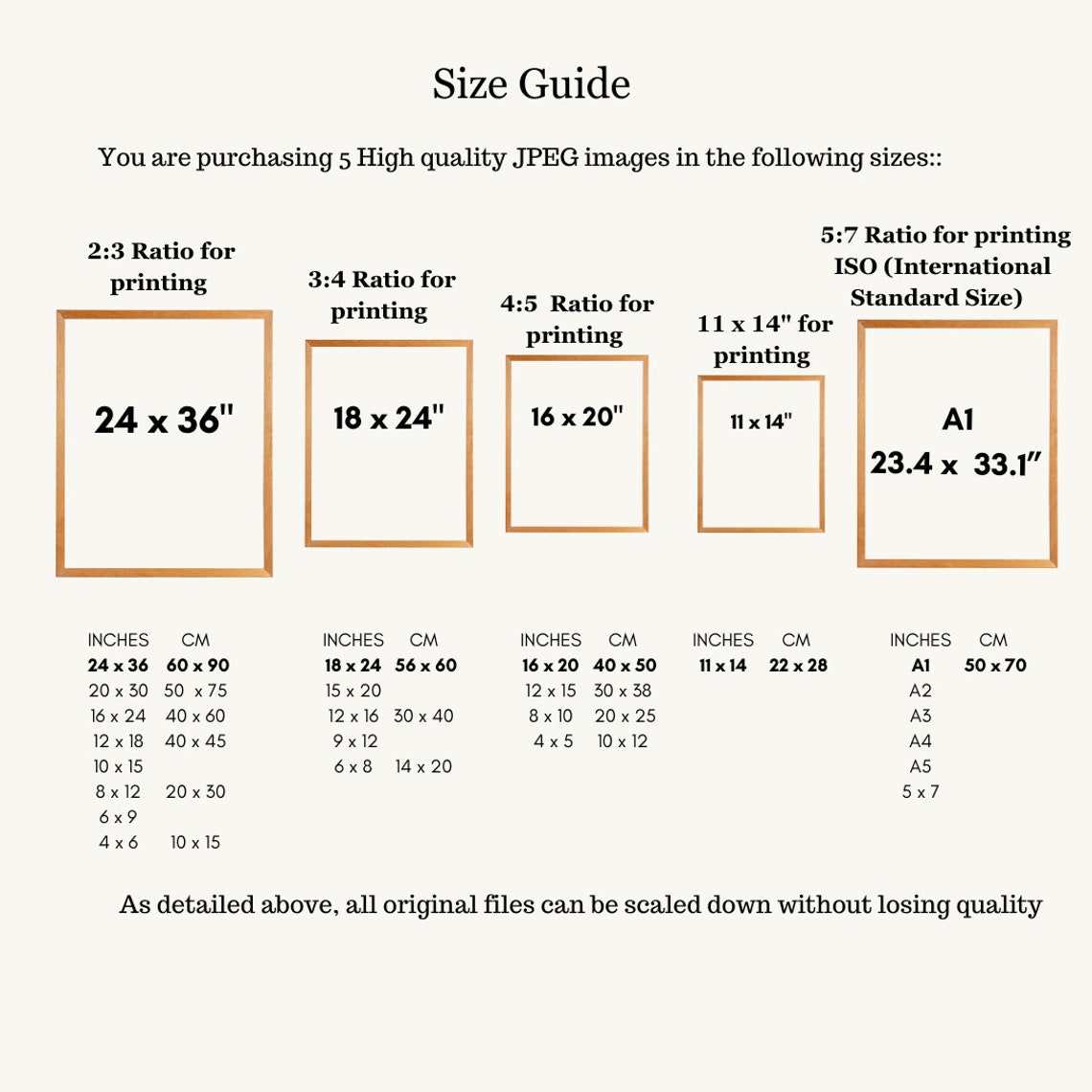 5 Senses Grounding Technique Poster: Emotional Regulation (digital ...