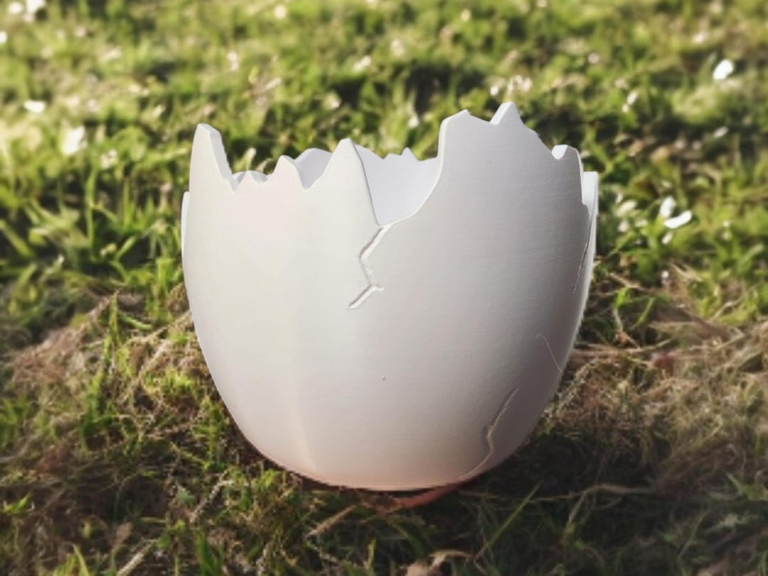 Eggshell Shaped Planter | 3D Printed Planter | Unique Planter | Flower ...