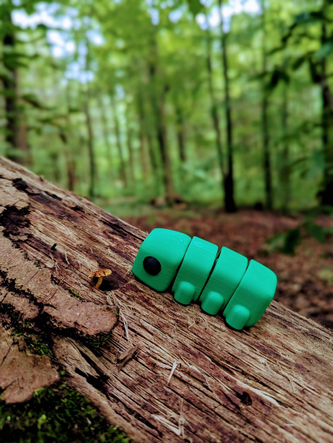 Caterpillar Fidget Toy - Etsy