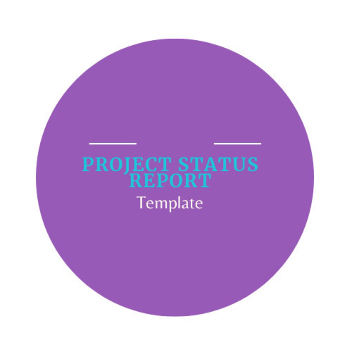 Project Status Report Etsy