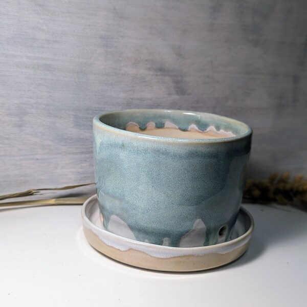 Flower Planter Plate - Etsy