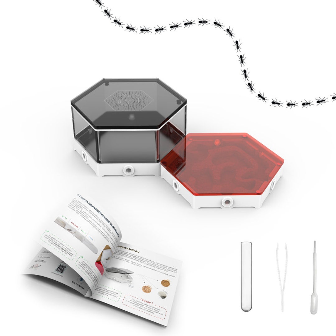 Ant Farm - Happyant Modular Ant Habitat With Outworld (starter Kit ...