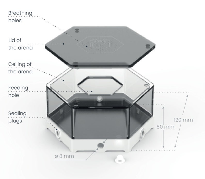 Ant Farm - Happyant Modular Ant Habitat With Outworld (starter Kit ...