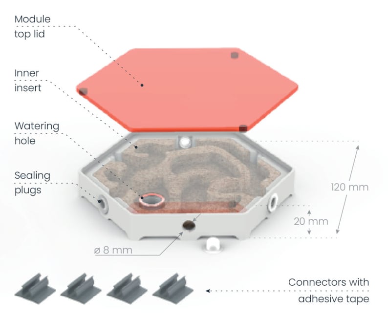 Ant Farm - Happyant Modular Ant Habitat With Outworld (starter Kit ...