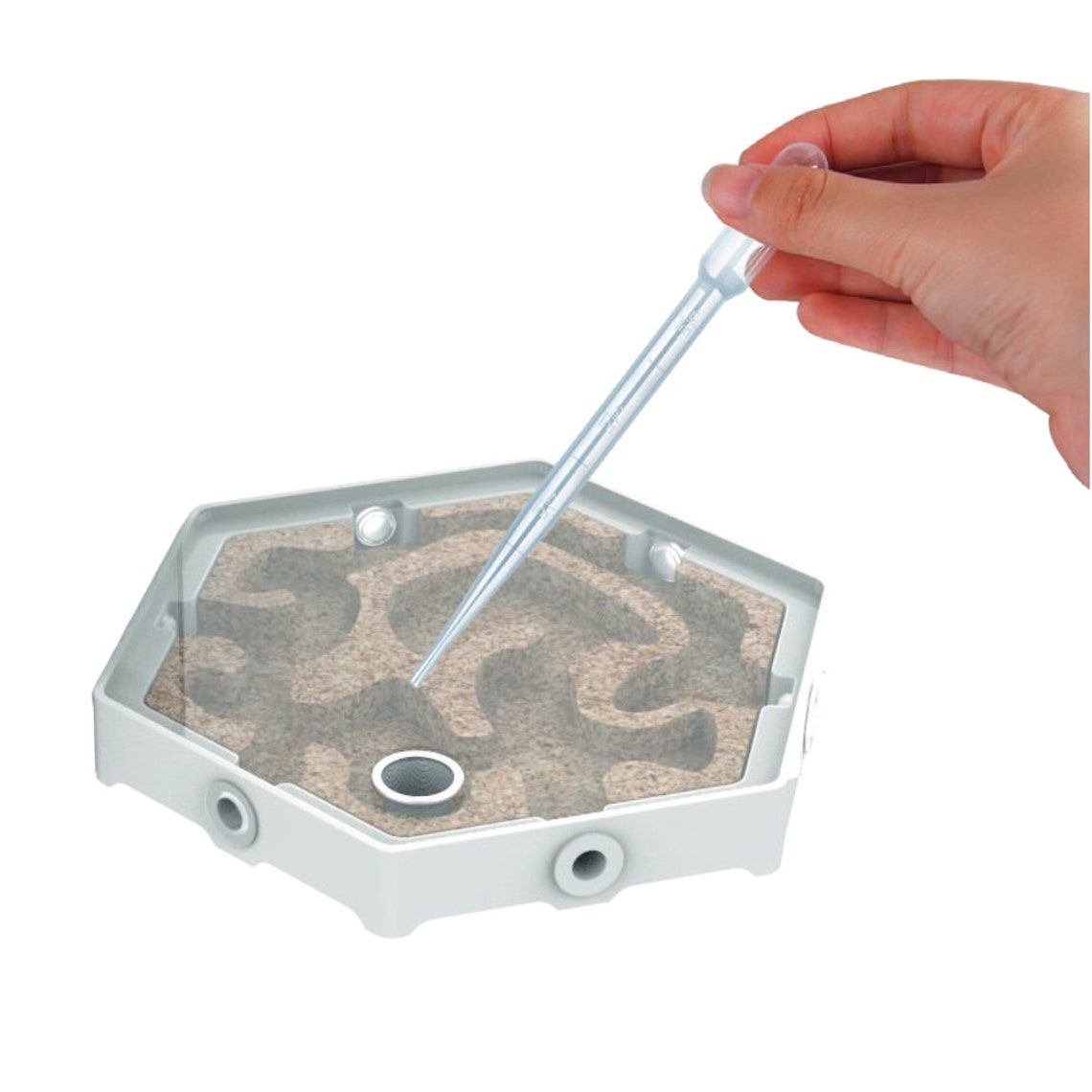 Ant Farm - Happyant Modular Ant Habitat With Outworld (starter Kit ...