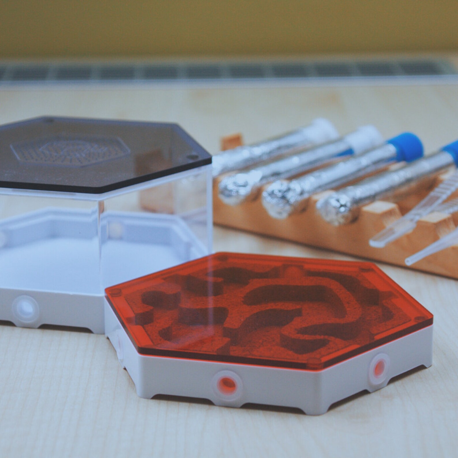 Ant Farm - Happyant Modular Ant Habitat With Outworld (starter Kit ...