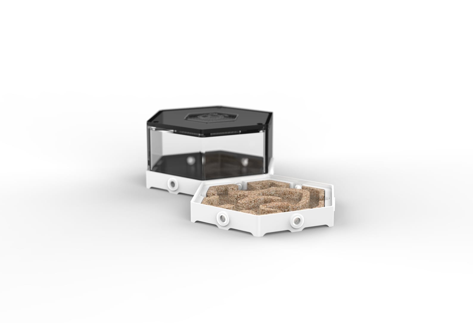 Ant Farm - Happyant Modular Ant Habitat With Outworld (starter Kit ...