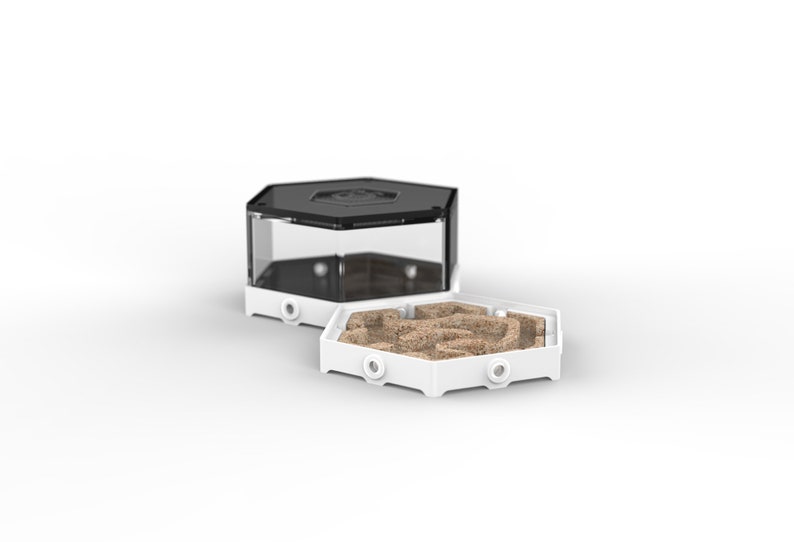 Ant Farm - Happyant Modular Ant Habitat With Outworld (starter Kit ...