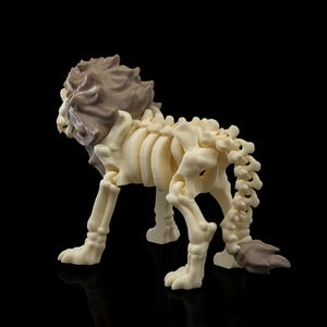 Skeleton Lion - Articulated - Etsy