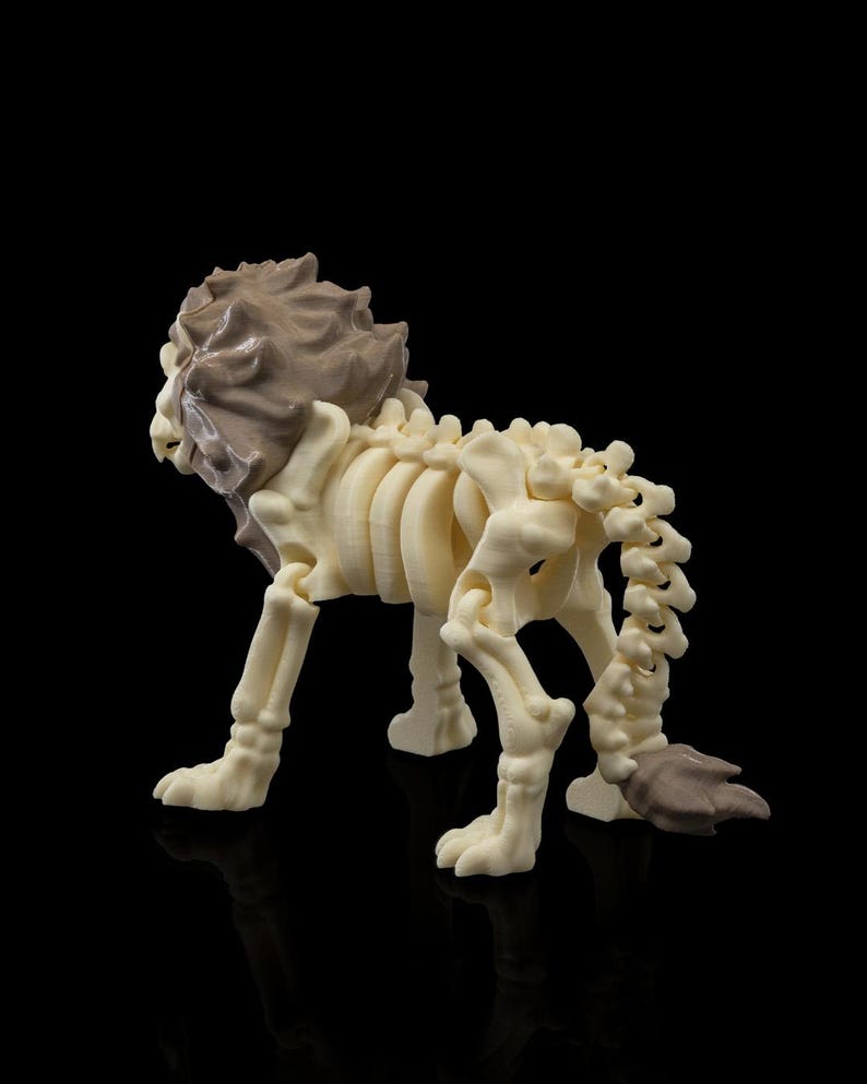 Skeleton Lion Articulated - Etsy