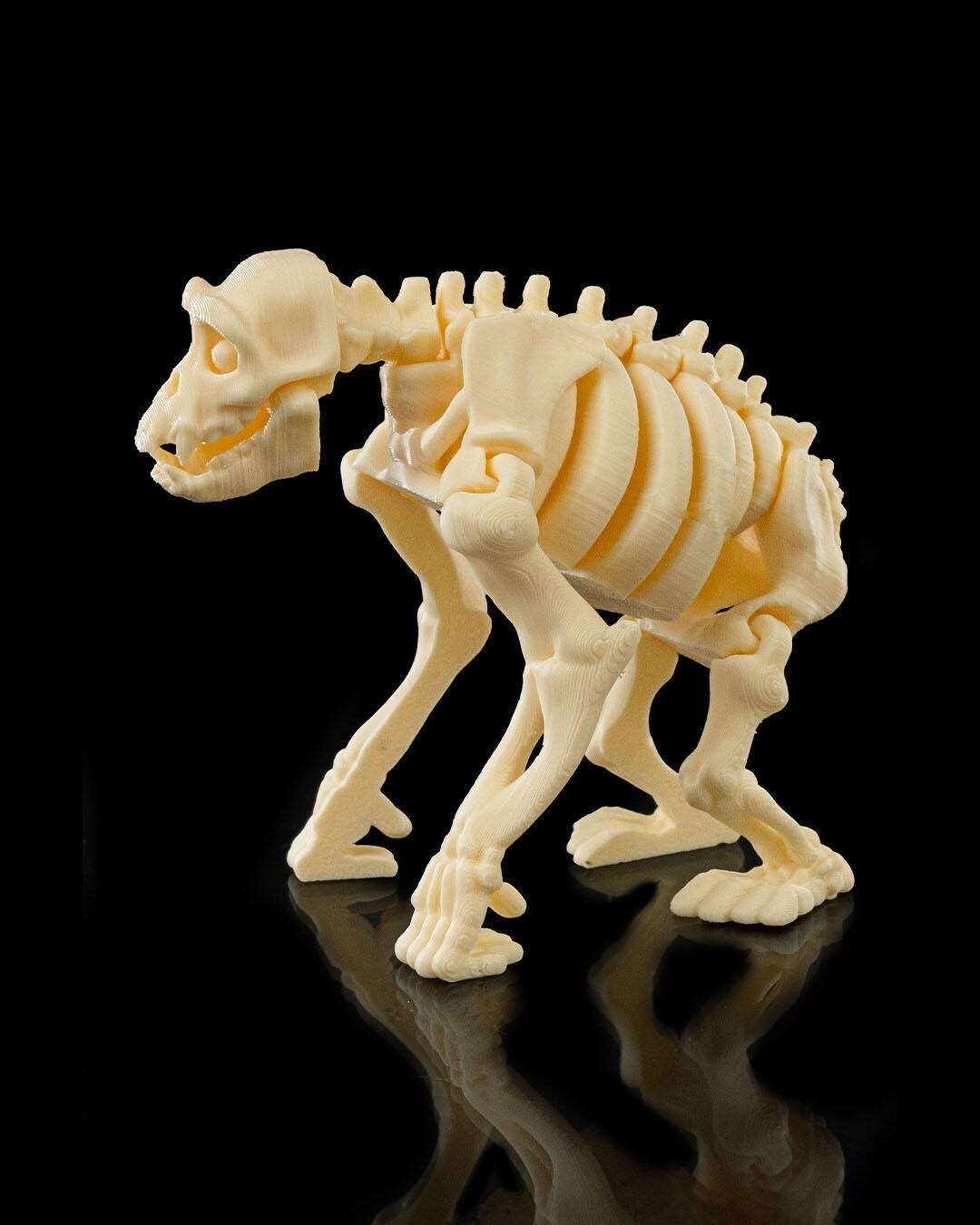 Skeleton Chimp - Articulated - Etsy