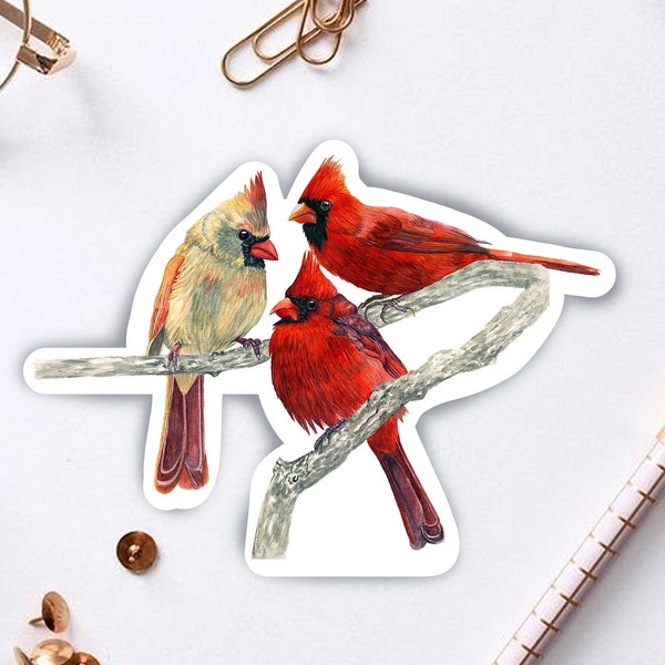 Female Cardinal - Etsy