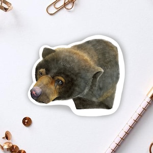 Sun Bear Die Cut Sticker. Original Watercolor Painting From Bear Series ...