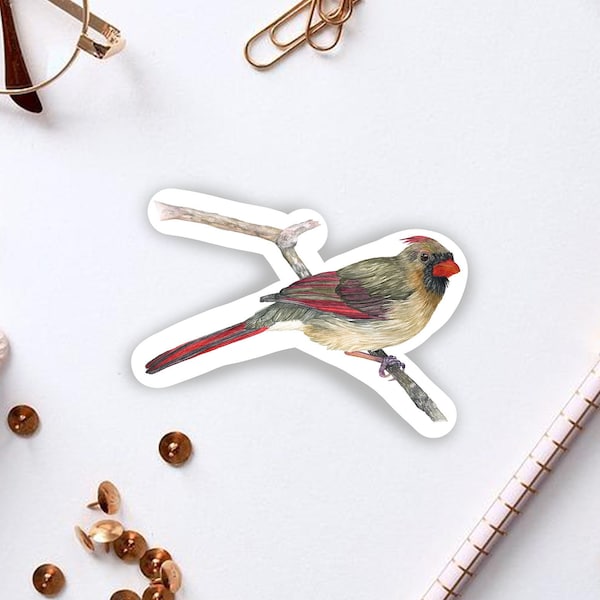 Female Cardinal - Etsy