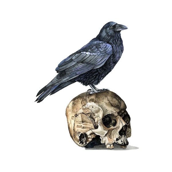 Raven Watercolor - Etsy