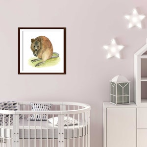 Watercolor Quokka Art Print, Australian Animal Nursery Print, Aussie ...