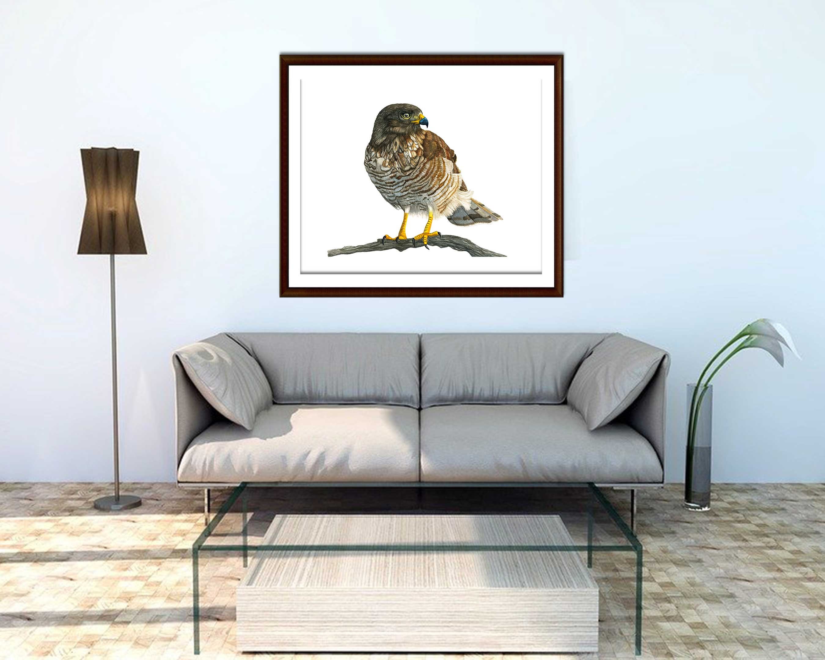 Roadside Hawk Realistic Watercolor Art Print. Hawk Painting From Bird ...